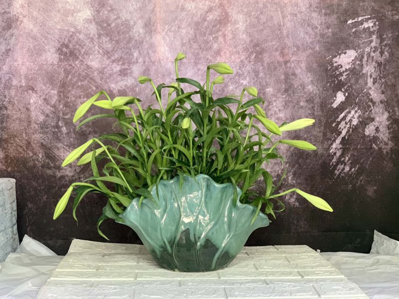 CT 174 – Gốm Sứ Thanh Hương